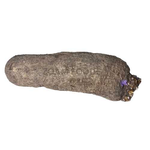 Fresh White Yam – ZOAM STORES